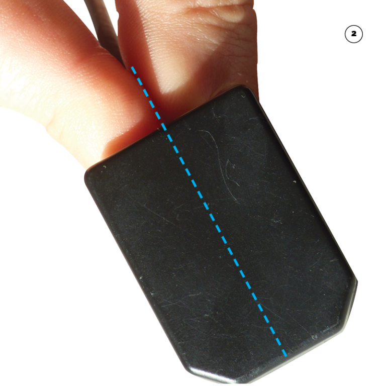 Dental X-Ray Positioning Guide Feline Maxillary Incisors 101, 102 and ...